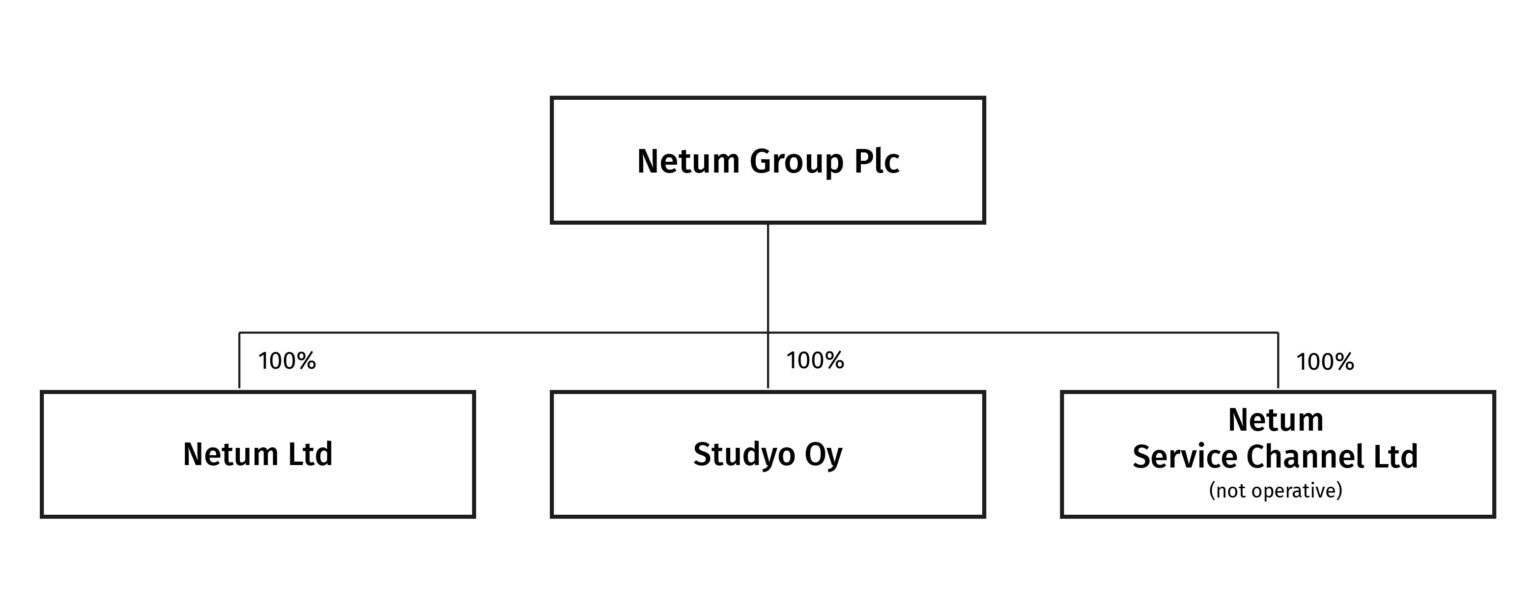Group structure - Netum