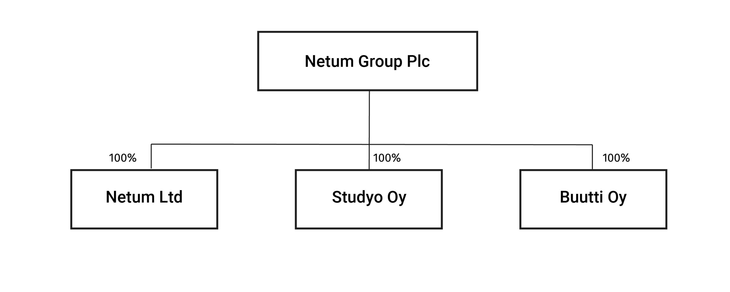 Group structure - Netum